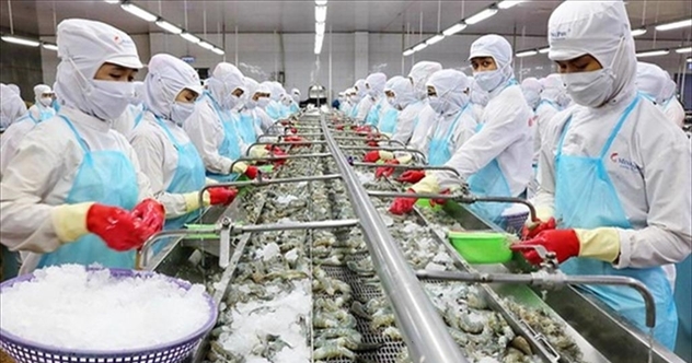 Seafood exports rise by 26% reaching $2 billion in 6 months