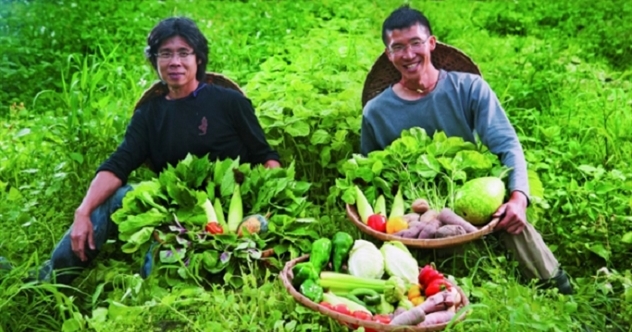 Organic agricultural products rise by more than 418% in export value