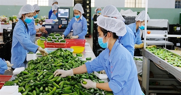 Green transformation considered key to sustainable exports: Experts