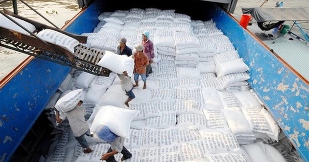 Rice exports earn nearly half a billion dollars at the beginning of 2024